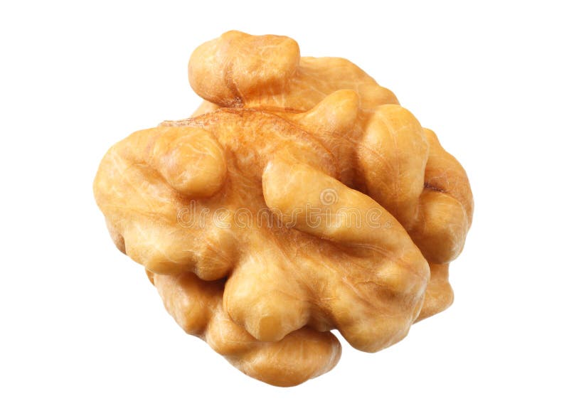 One Walnut Isolated on White Background Stock Photo - Image of natural ...