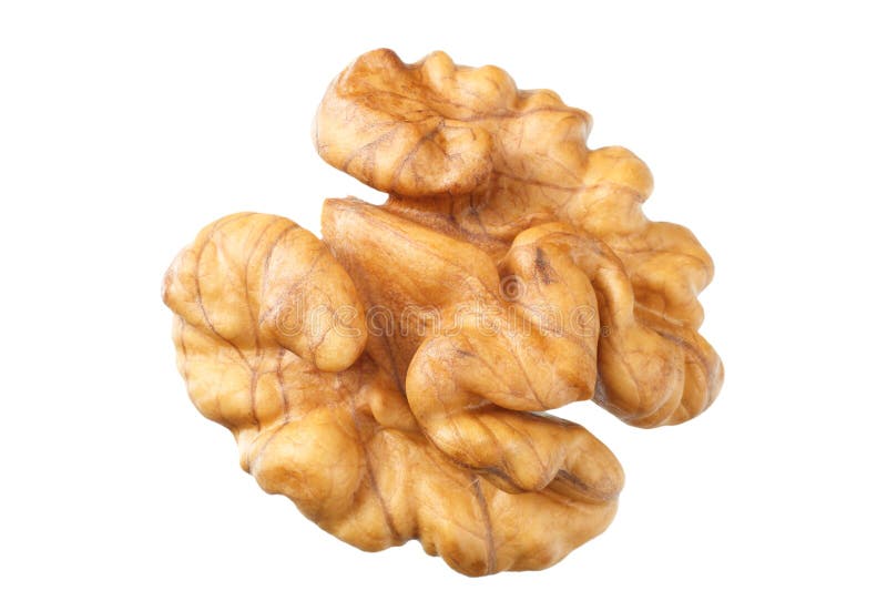 One Walnut Isolated on White Background Top View Stock Image - Image of ...