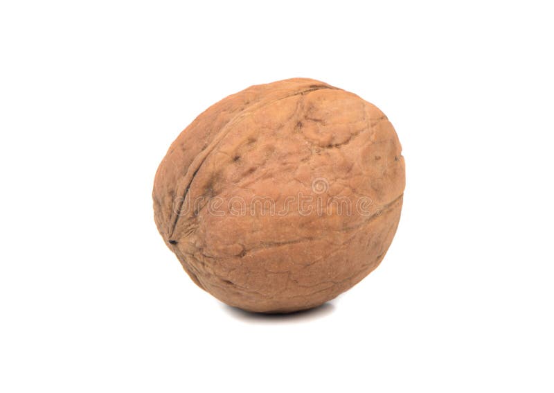Walnut isolated stock image. Image of healthy, snack - 102162449