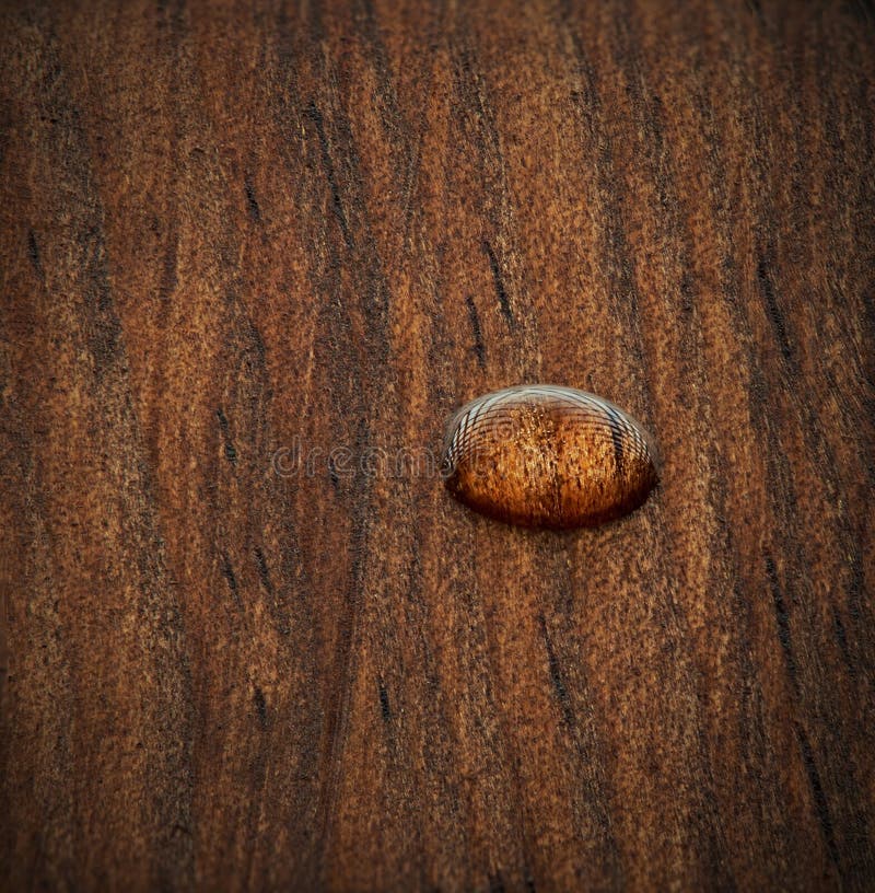One water drop stock image. Image of table, brown, purity - 78525315