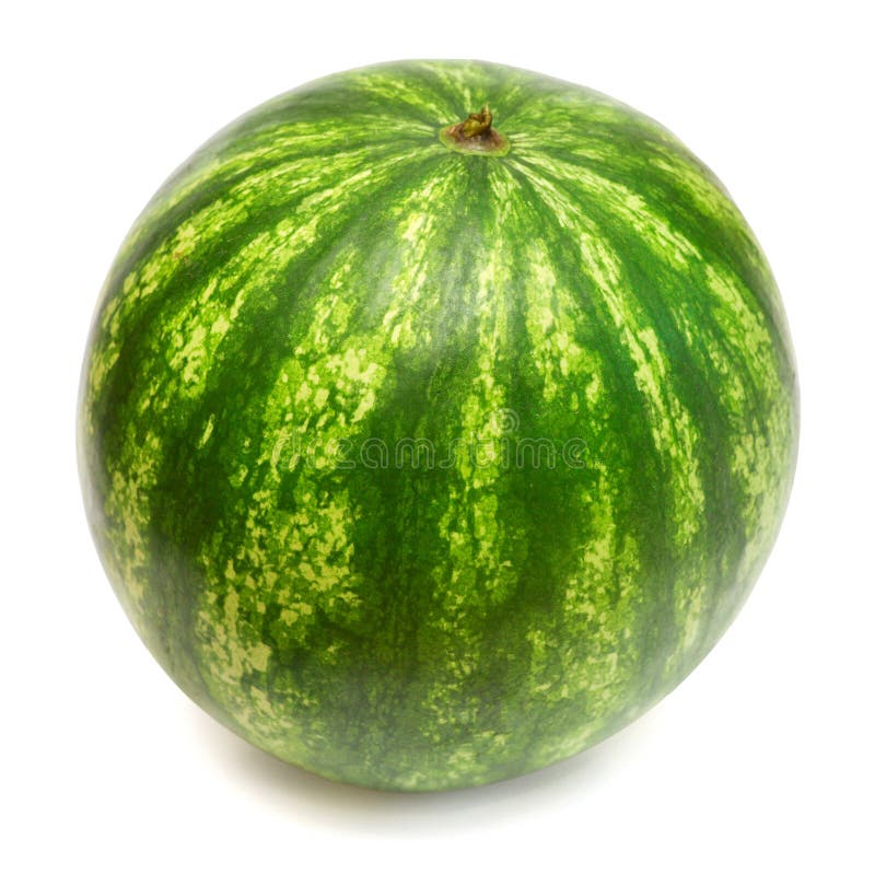 One Watermelon Isolated on White Stock Photo - Image of summer, round ...