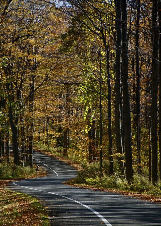 Lonely Motorcycle/Autumn stock photo. Image of enjoy, highway - 6767480
