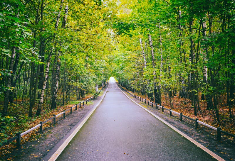 One way country road stock image. Image of marking, paint - 13335625