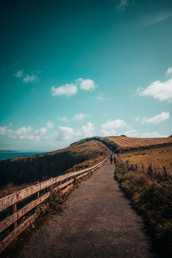 One Way Road Sign Picture. Image: 82899691