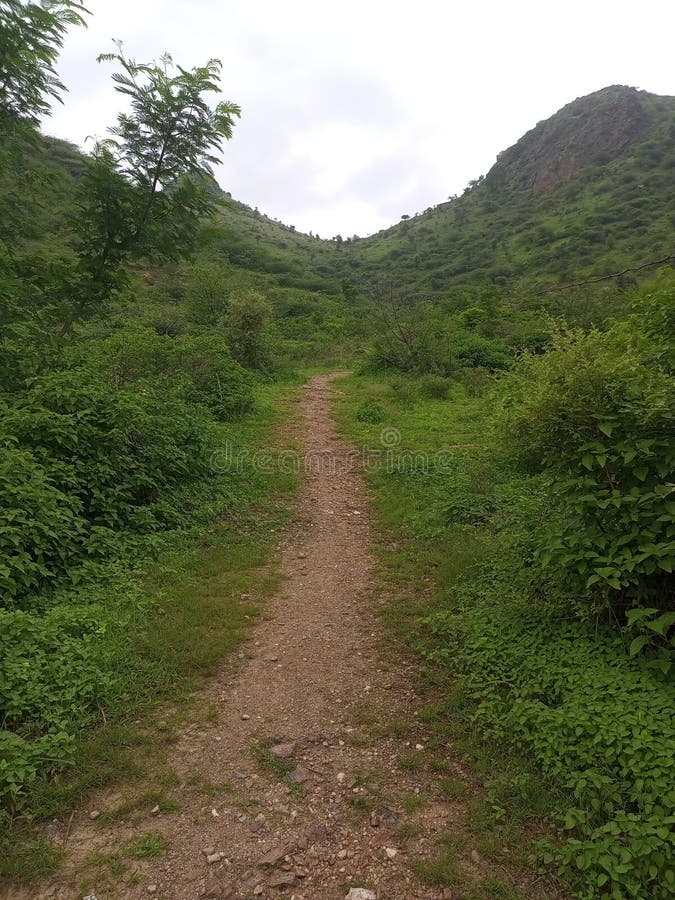 A One Way Road or Path between Mountains with Green Grass and Nature ...