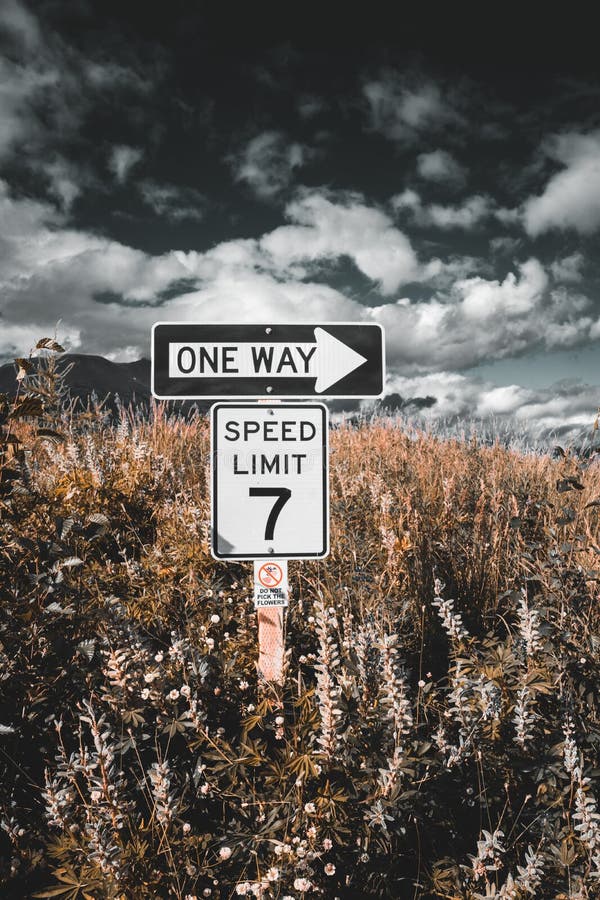One Way Road Sign and Speed Limit 7 Sign Stock Image - Image of control ...