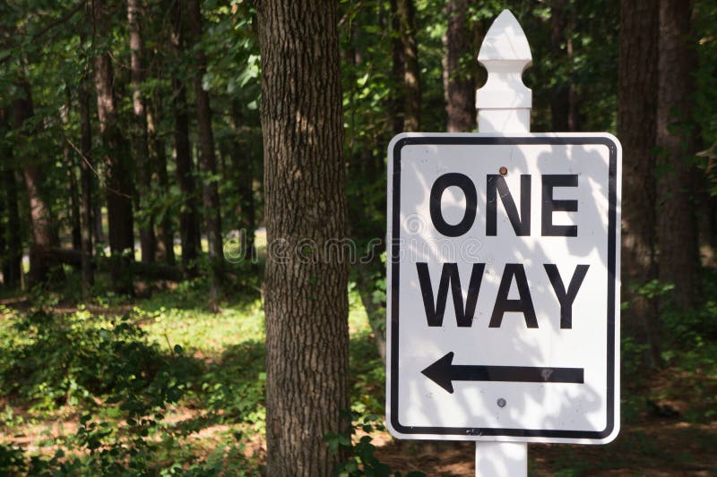 One Way Sign stock photo. Image of left, forest, grass - 56917540