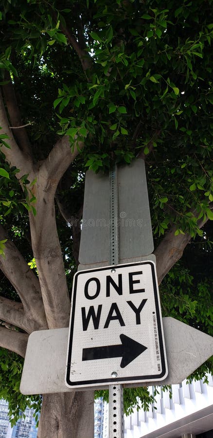 680 Tree Sign One Way Stock Photos - Free & Royalty-Free Stock Photos ...