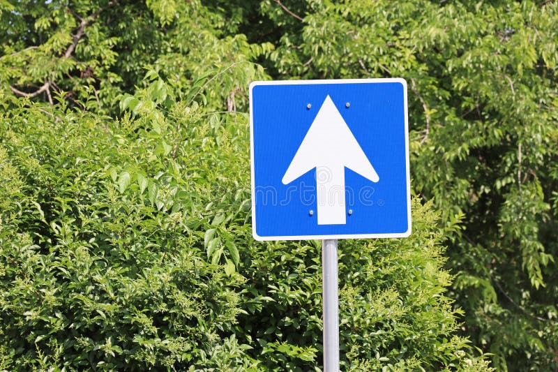 One Way Traffic Sign in Front of a Green Bush Stock Image - Image of ...