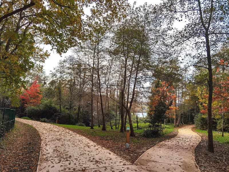 One way and two directions stock photo. Image of garden - 278305522