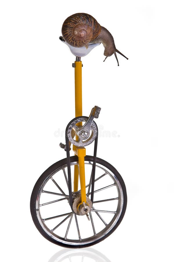 One wheel stock photo. Image of environmental, creature - 7306552