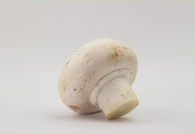 318 Single White Button Mushroom Stock Photos - Free & Royalty-Free ...