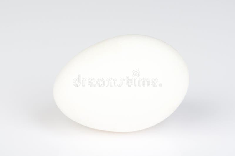 One white egg stock image. Image of protein, product - 149330173