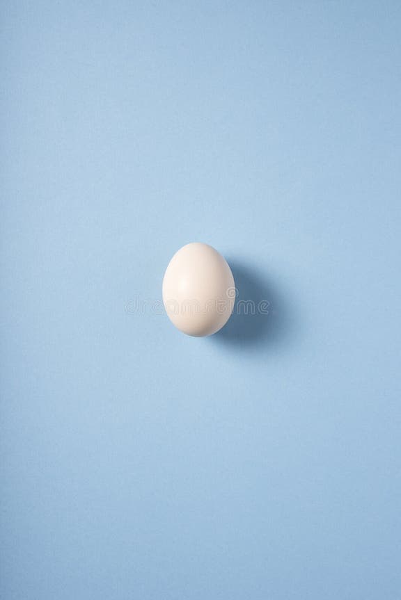 One White Egg on a Blue Background Shot in the Studio Stock Photo ...