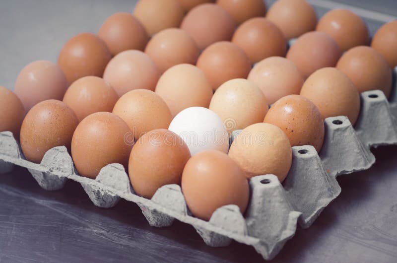 One White Egg in Box Horizontal Stock Image - Image of fresh, fake ...