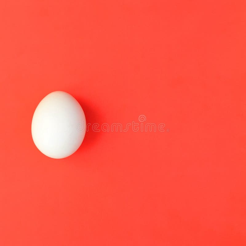 One White Egg on a Bright Red Background Stock Image - Image of ...