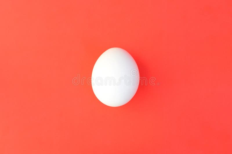 One White Egg on a Bright Red Background Stock Photo - Image of ...