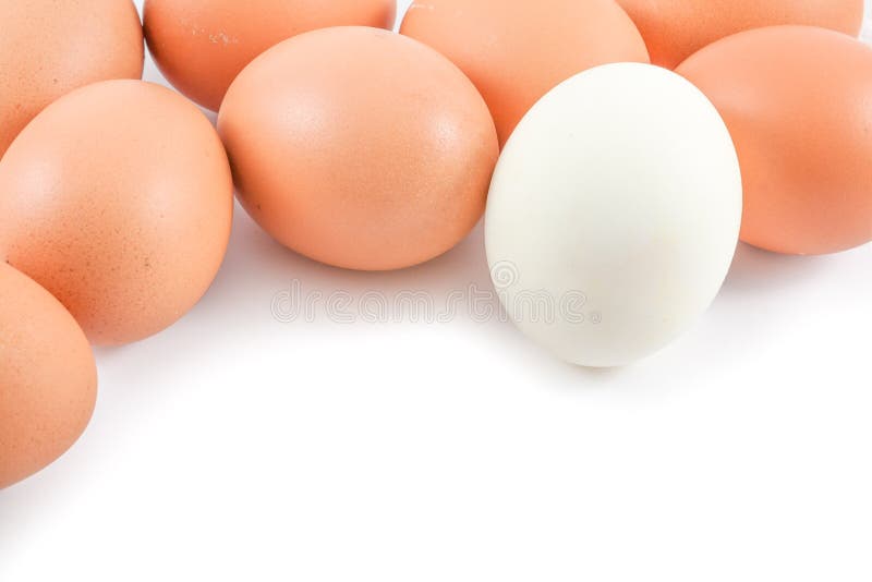 One white egg stock image. Image of organic, food, cooking - 43460491