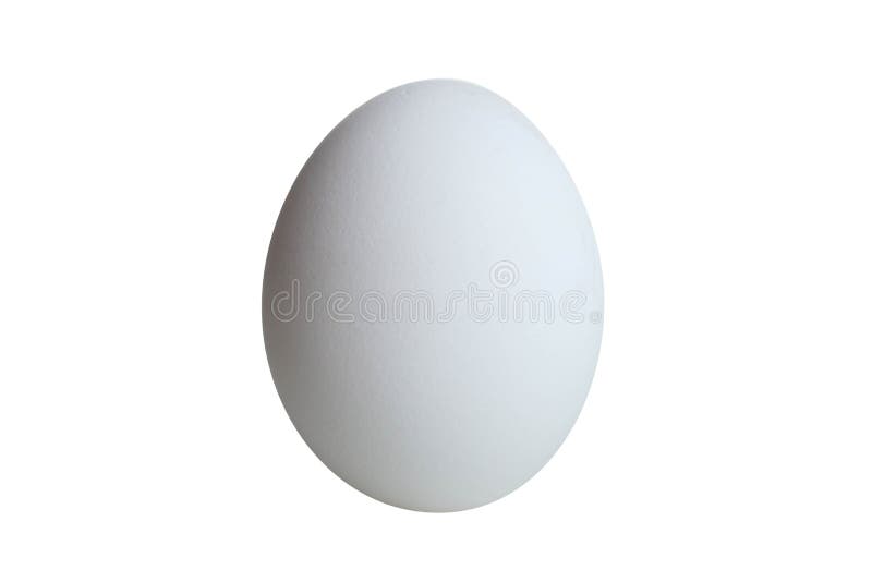 One white egg stock image. Image of nature, natural - 101079873
