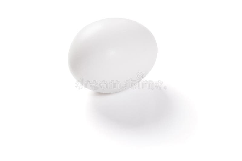 One White Egg with a Shadow on a White Background Stock Image - Image ...