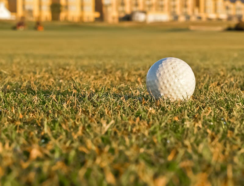 One White Golf Ball on Fairway Stock Photo - Image of golf, expansive ...