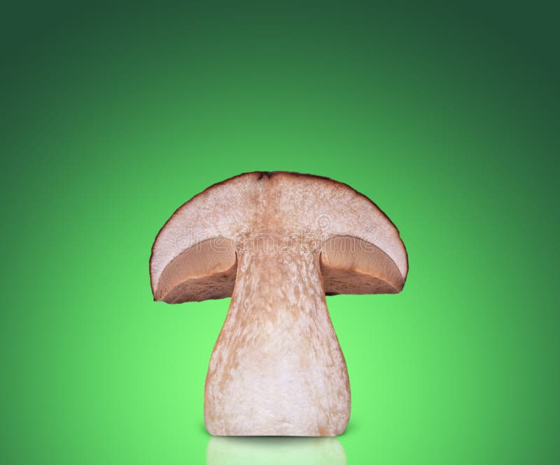 3,113 Cut Half Mushroom Photos - Free & Royalty-Free Stock Photos from ...