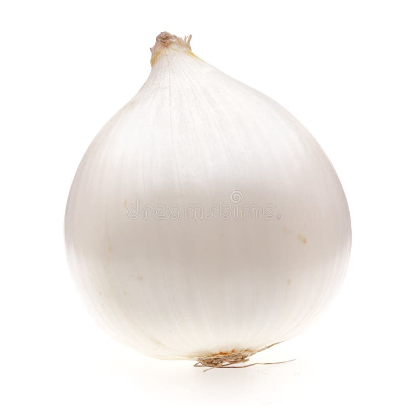 One white onion bulb stock image. Image of close, bulb - 11324083