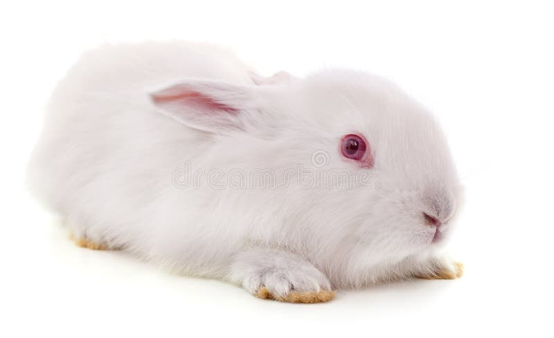 Oleksandr Lytvynenko (Voren1) - Photographer profile