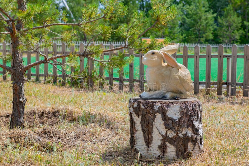 One White Rabbit Sits on a Stump in the Forest Stock Photo - Image of ...