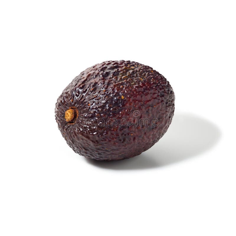 One whole avocado stock image. Image of peel, brown, seed - 45988195