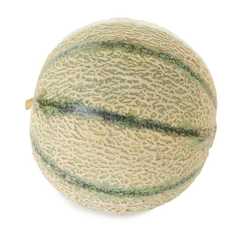 603 One Whole Cantaloupe Melon Isolated White Stock Photos - Free ...