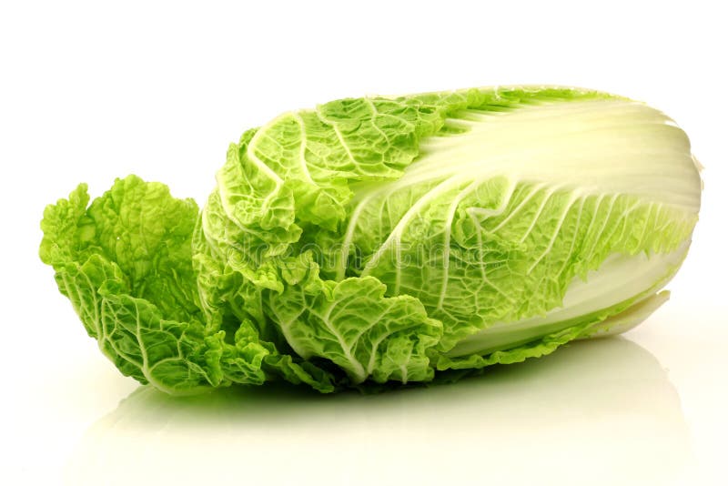Chinese cabbage stock photo. Image of eatable, edible - 26125730