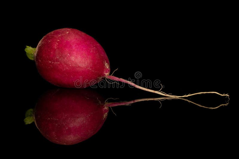 Fresh Red Radish Isolated on Black Glass Stock Photo - Image of glossy ...