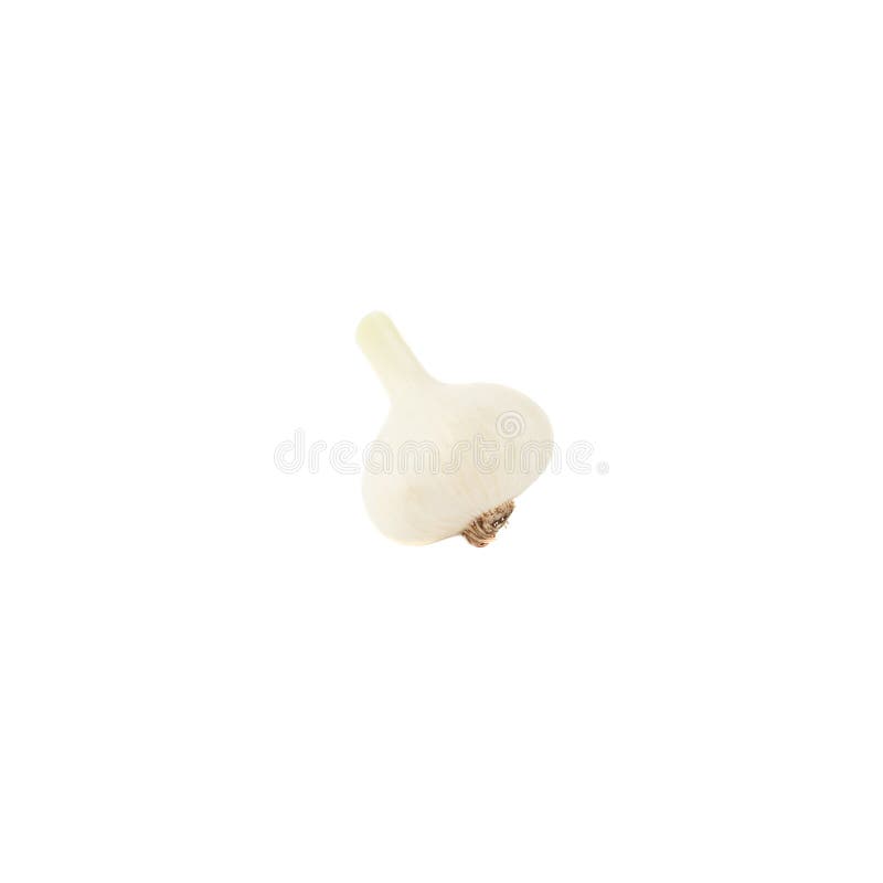 One Whole Garlic Isolated on White Stock Image - Image of vegetarian ...