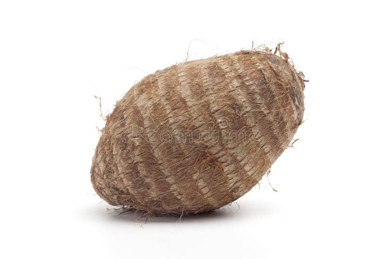 One whole hairy Taro root stock photo. Image of horizontal - 13483684
