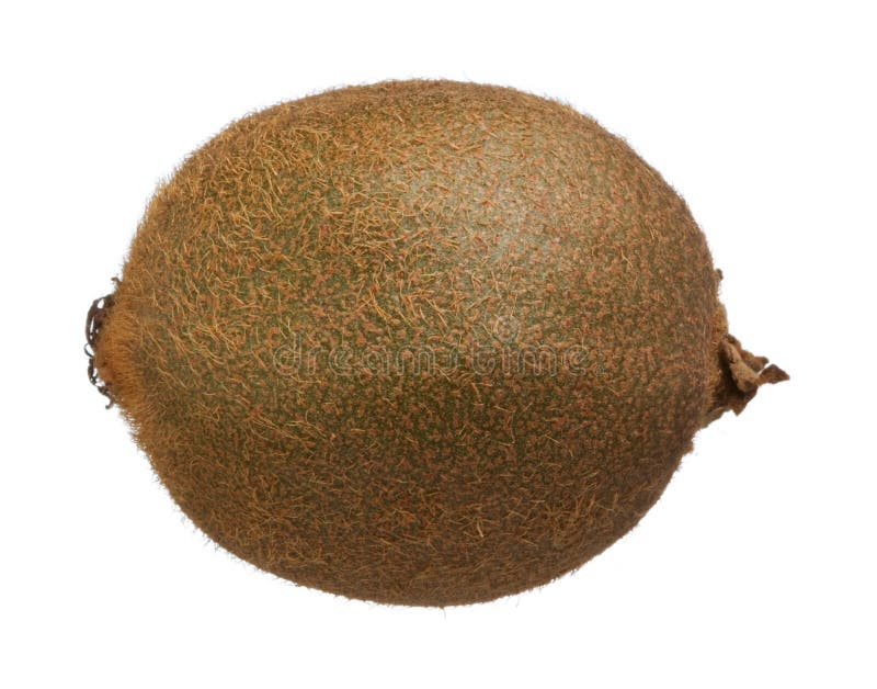 Whole kiwi fruit unpeeled stock photo. Image of plant - 12400822