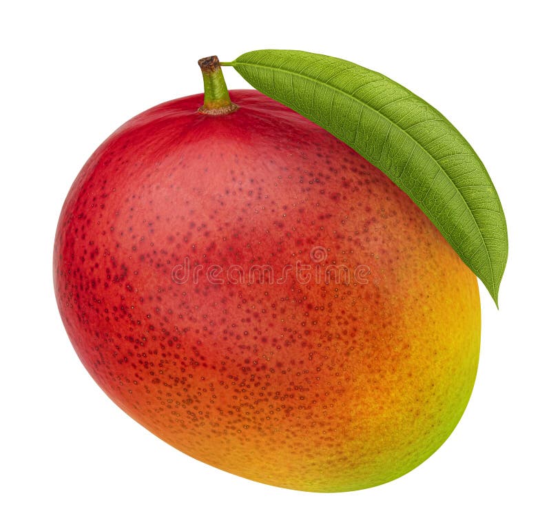 381 Mango Isolated Falling Stock Photos - Free & Royalty-Free Stock ...
