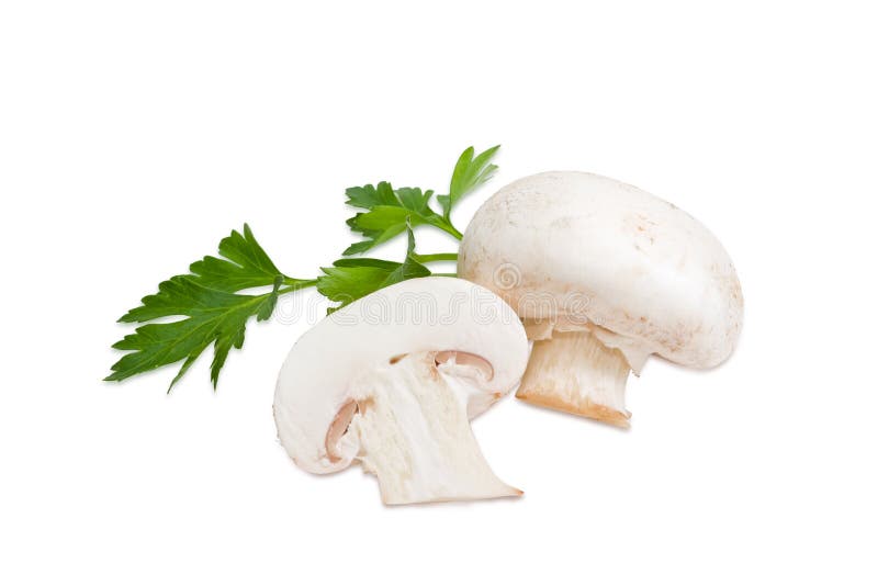 One Whole and One Half of a Button Mushroom Stock Image - Image of ...