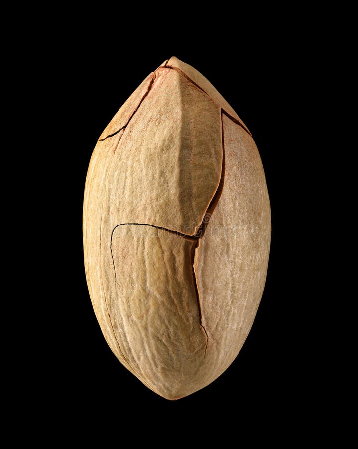 One Whole Pecan Nut with Cracks Isolated on Black Background Stock ...