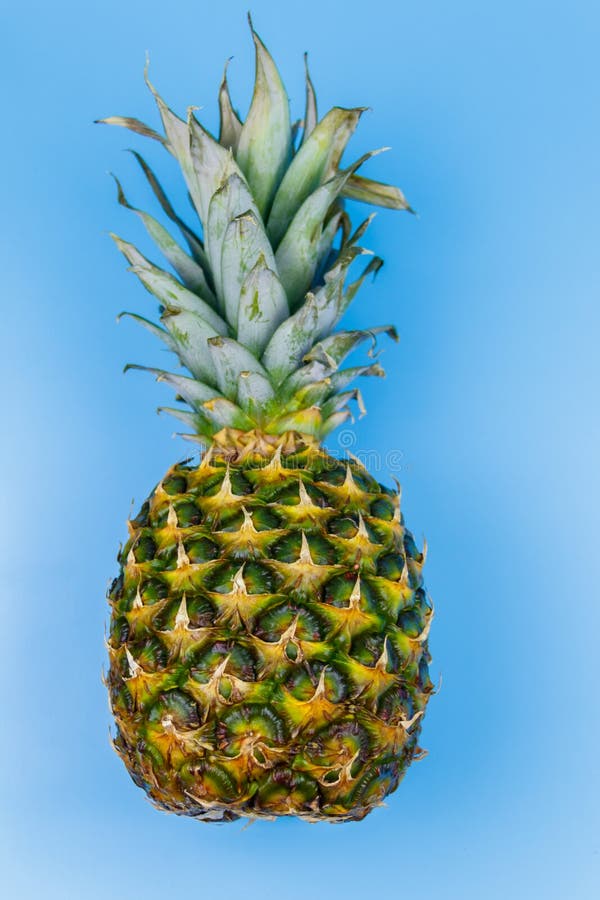 One Whole Pineapple on Blue Background. Top View Stock Photo - Image of ...