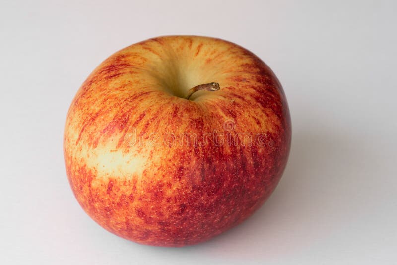 One Whole Ripe Fresh Envy Apple Stock Photo - Image of ripe, isolated ...
