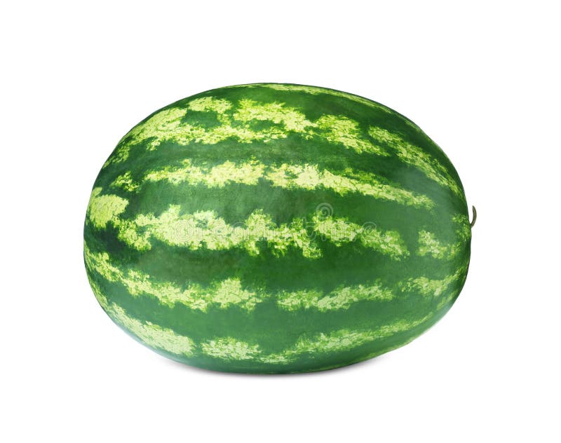 One Whole Ripe Watermelon Isolated on White Stock Image - Image of ...