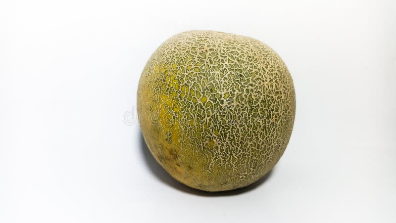 One Whole Round Melon on an Isolated White Background in Eye Level View ...