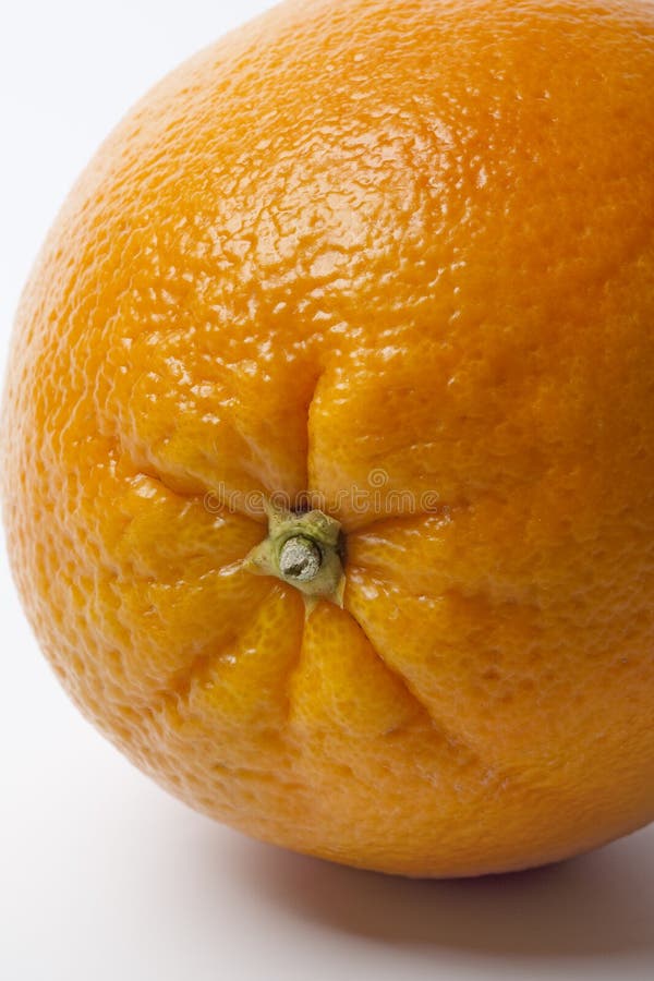 One whole single Orange stock photo. Image of vertical - 12693898