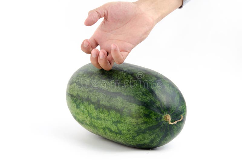 One whole watermelon. stock photo. Image of fresh, organic - 169593722