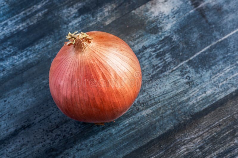 One wihe onion stock photo. Image of healthy, vegetarian - 105570574