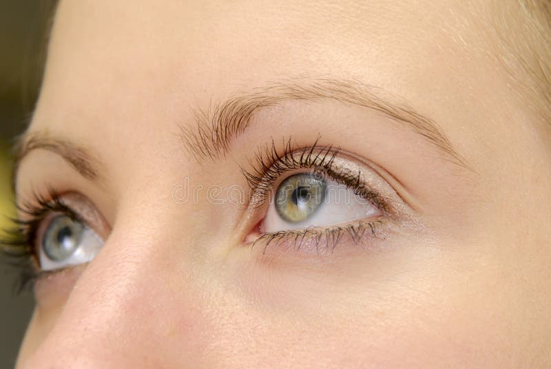 Eye stock photo. Image of contacts, cornea, vision, optics - 1885744