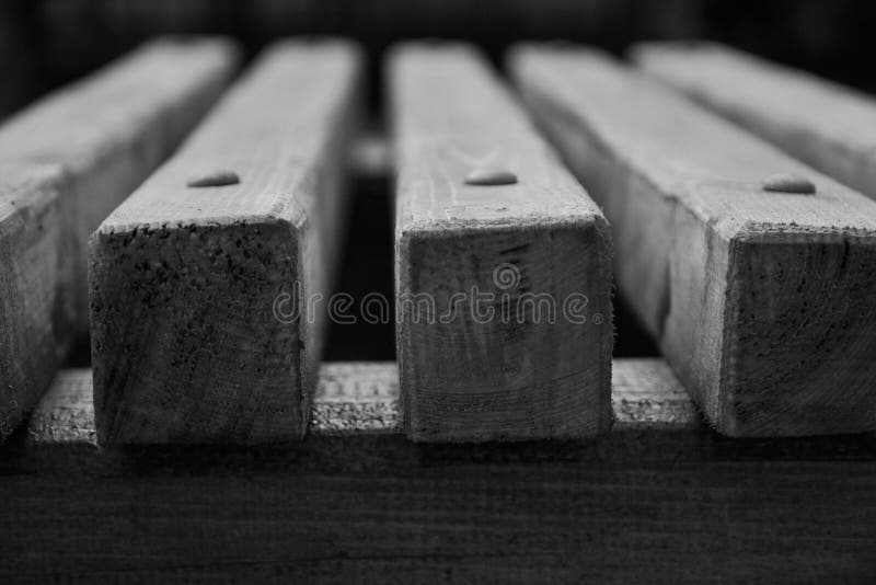 One stock photo. Image of white, onetwothree, wood, blackandwhite ...