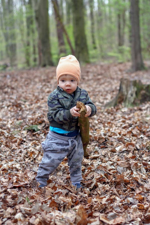 One-year-old Boy Playing in the Forest Stock Photo - Image of park ...