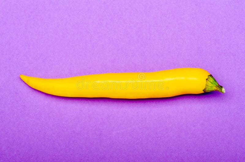 One Yellow Chili on a Purple Background Stock Photo - Image of healthy ...